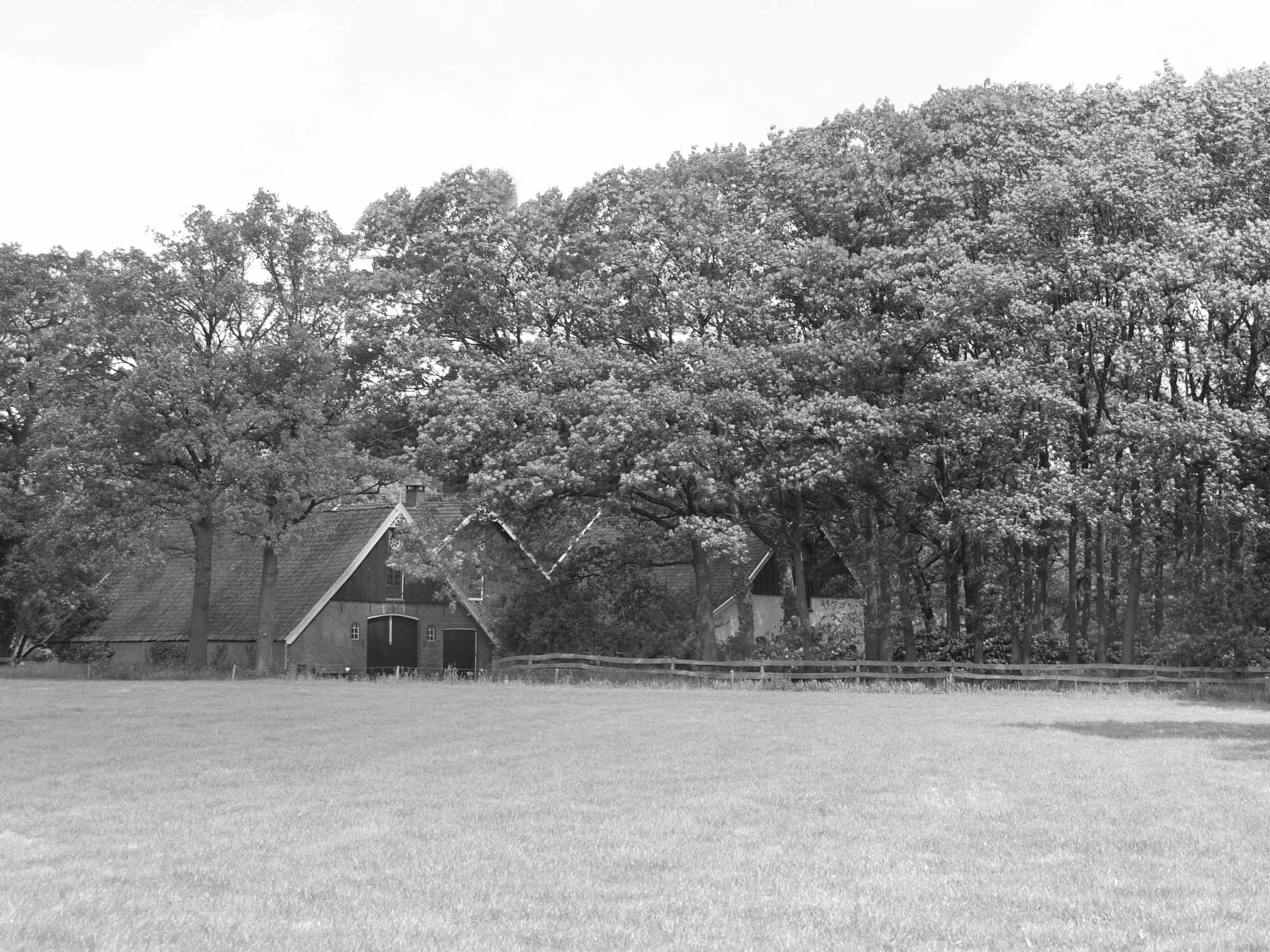 Home and Garden Gift Distributor in Maryland